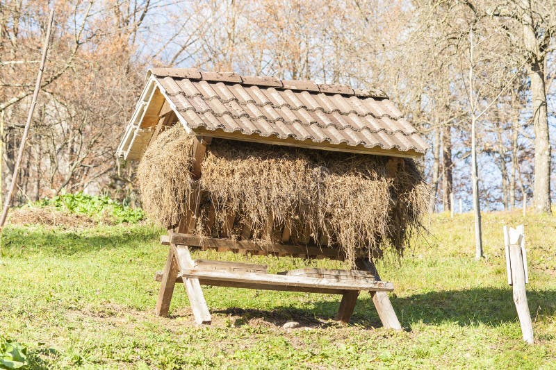 Trog met hooi stock afbeelding. Image of boog, boosheid - 64525267