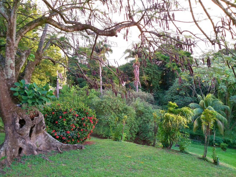 St.Vincent and the Grenadines La Soufriere Volcano Crator Stock Photo ...