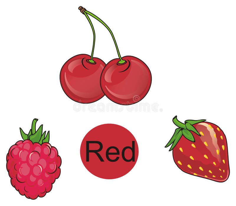 Trois fruits rouges illustration stock. Illustration of dessin - 90774294
