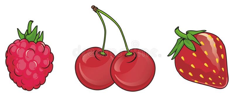 Trois fruits rouges illustration stock. Illustration du fruits - 90774305
