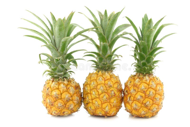 Ananas trois photo stock. Image du tropical, vertical - 14750046