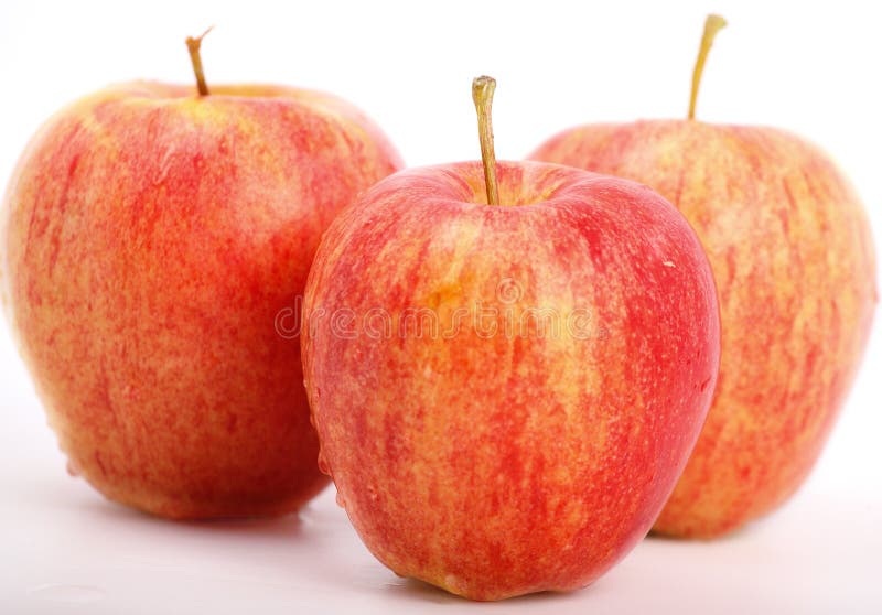 Pomme rouge mûre photo stock. Image du jardin, pomme - 25096606