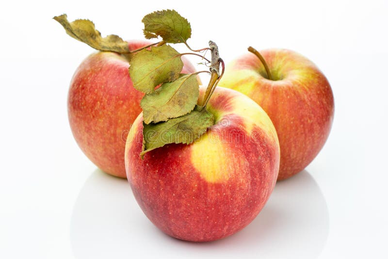 Trois Pommes Rouges Sur Un Fond Blanc Image stock - Image du délicieux ...