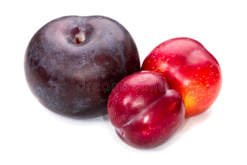 Trois Prunes Noires, D'isolement Sur Le Fond Blanc Photo stock - Image ...