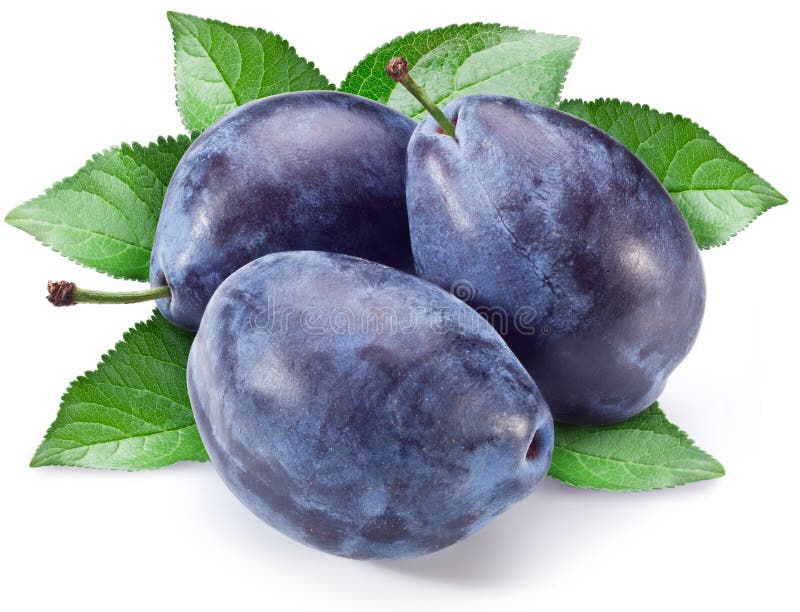 Trois Prunes Avec La Feuille. Image stock - Image du fond, doux: 35846809
