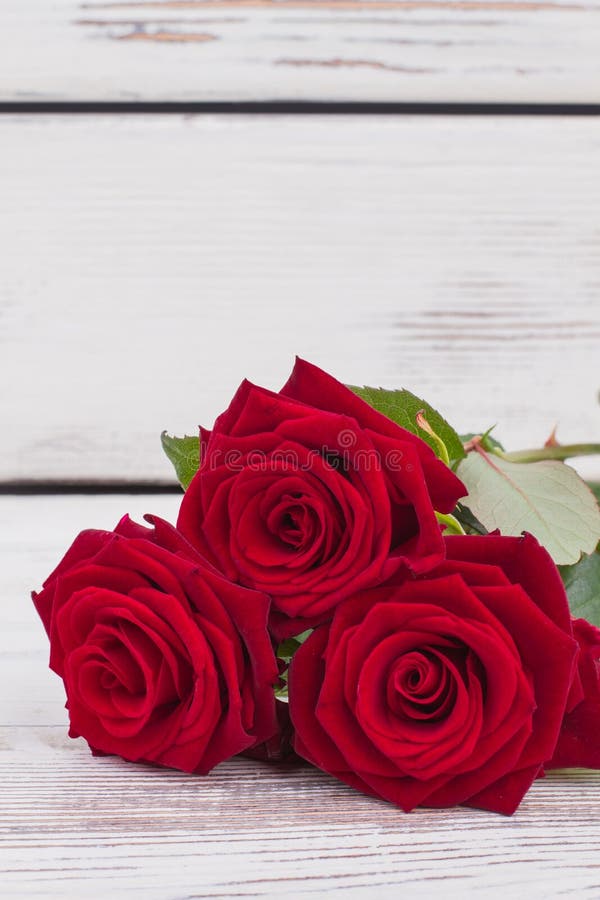 Trois Roses Rouges Et Espaces De Copie Photo stock - Image du frais ...