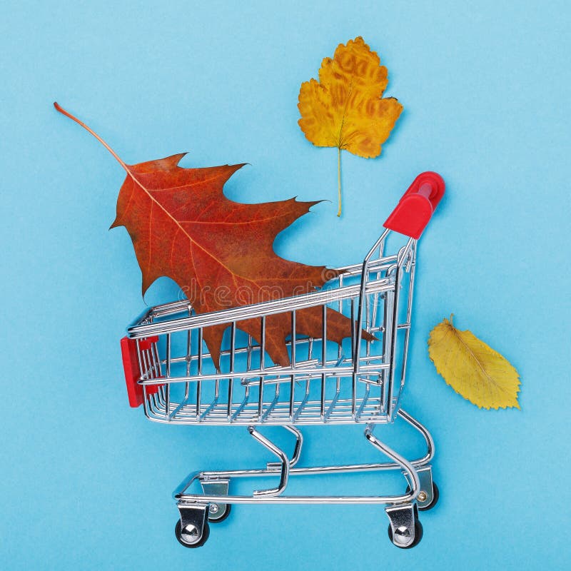 Trolley with Leaves on Blue Background Stock Photo - Image of basket ...