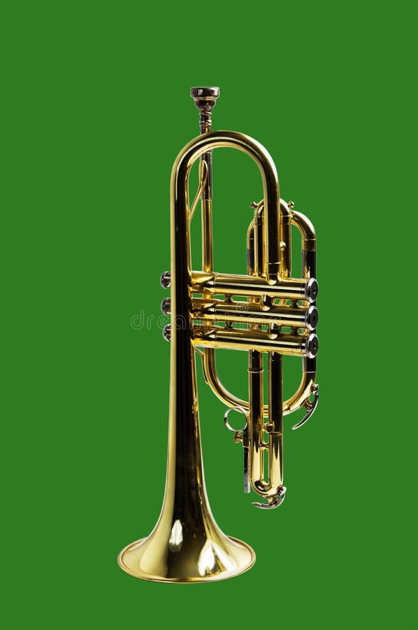 Trombeta isolada no verde foto de stock. Imagem de chifre - 6871634