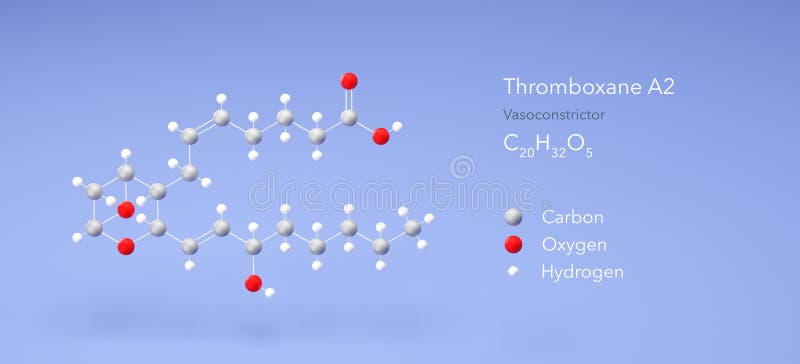 Tromboxano A2 Molecola Strutture Molecolari Vasoconstrictor 3d Modello ...
