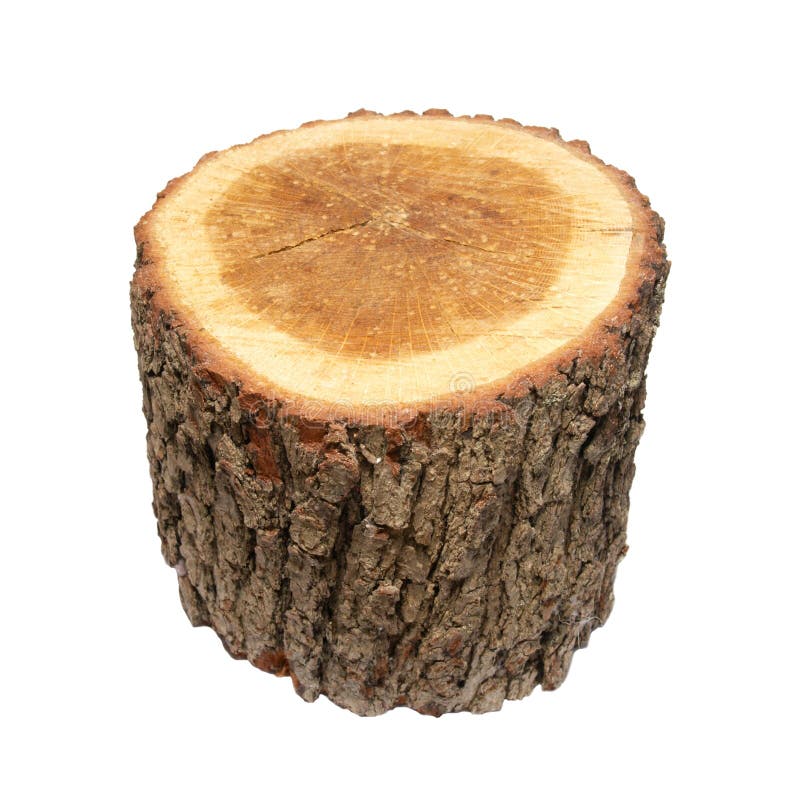 Tronçon en bois photo stock. Image du construction, forme - 8434650