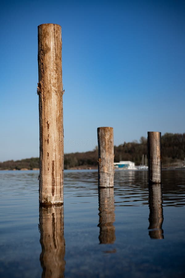 Tronchi di legno da sopra immagine stock. Immagine di sfondo - 116552893