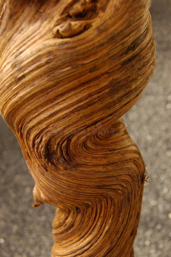 Tronco da madeira imagem de stock. Imagem de rolo, orgânico - 1436239