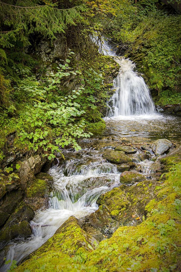 Trondheim Ilabekken Stepped Waterfall Stock Image - Image of plant ...