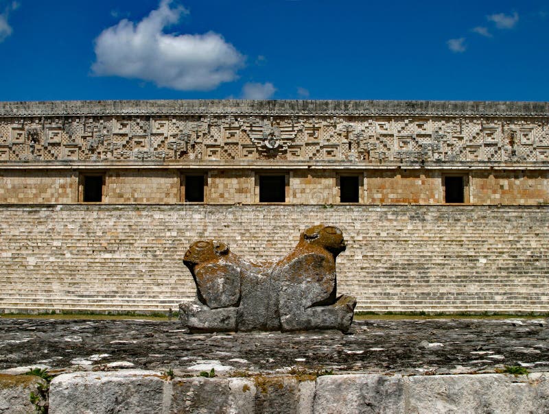 Headed Bicephalic Stock Photos - Free & Royalty-Free Stock Photos from ...