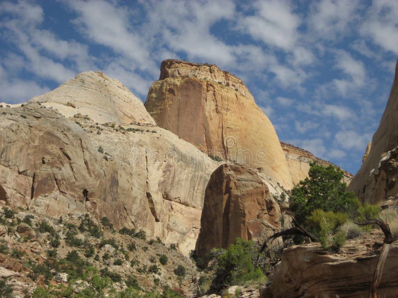 Cadeira Luxuosa Do Trono Do Vintage Com Stat De Dois Egyptian Imagem de ...