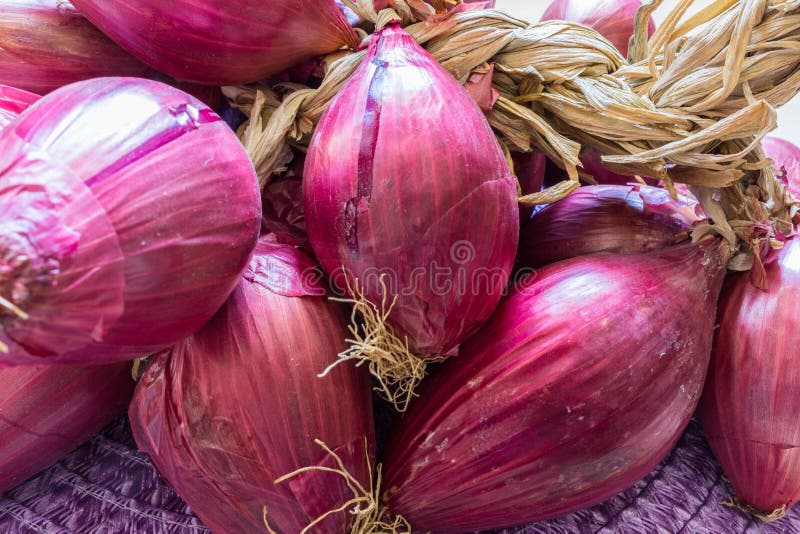 Tropea Onions on a Wooden Table Stock Photo - Image of closeup, harvest ...