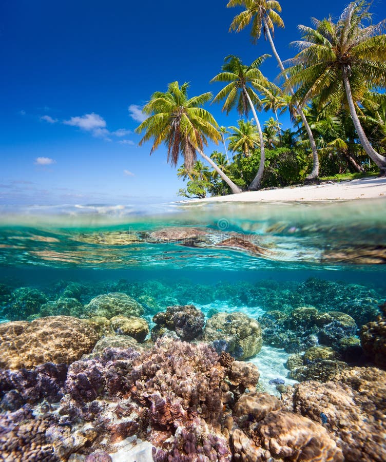 Tropische Insel Oben Und Unterwasser Stockbild - Bild von outdoor ...