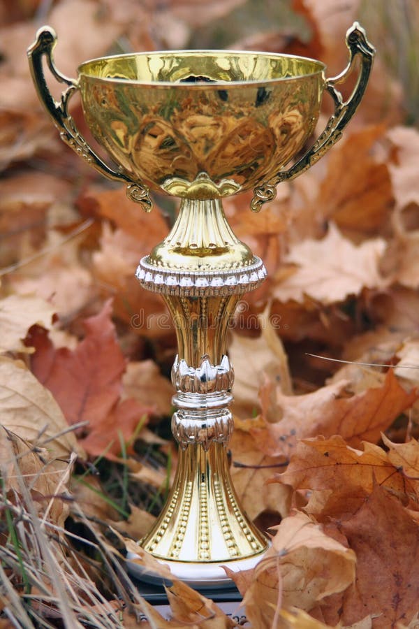 Trophy cup stock image. Image of prize, competition, price - 7730631