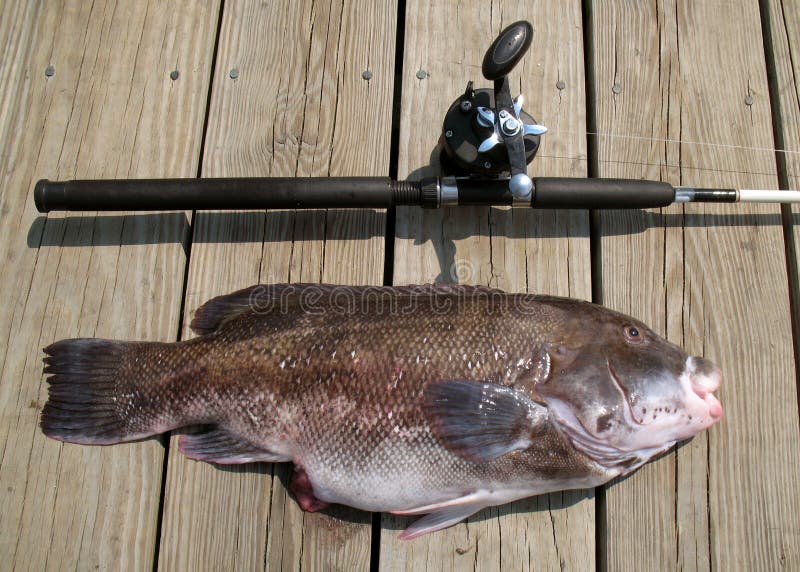 Tog Boat Stock Photos - Free & Royalty-Free Stock Photos from Dreamstime