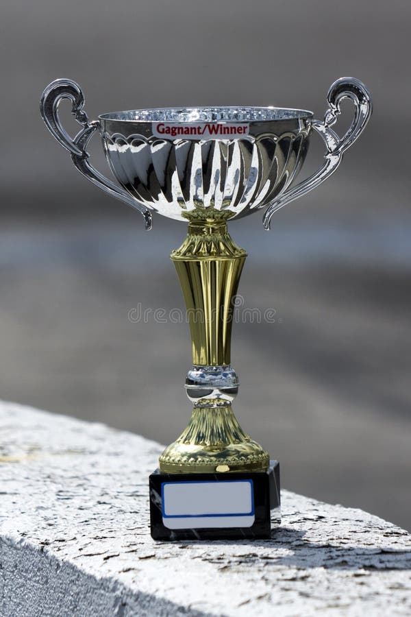 Trophy winner stock image. Image of national, excellence - 41314735