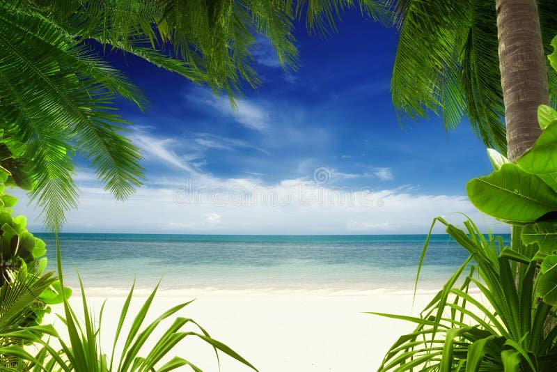 Tropic stock image. Image of paradise, dream, holiday - 23213459