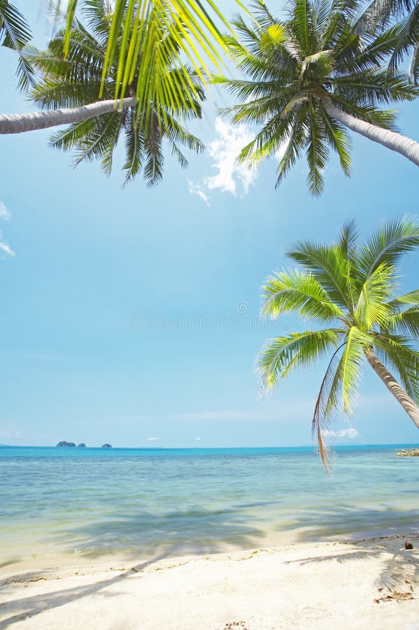 Tropic stock photo. Image of relaxation, plage, coast - 7214576