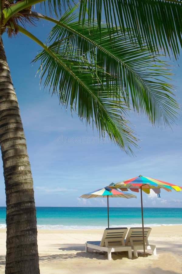 Tropic site stock photo. Image of plage, deck, bliss, journey - 2598266
