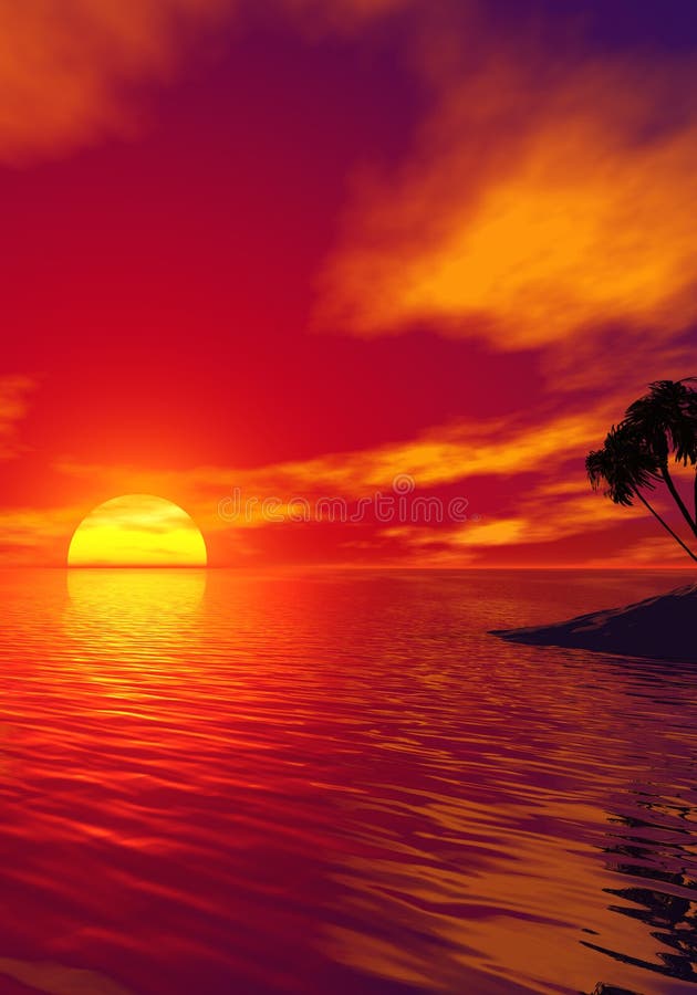 Tropic sunset stock illustration. Illustration of evening - 3316652