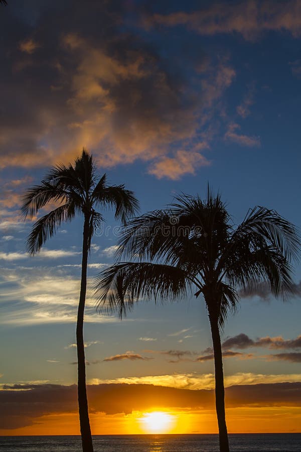 Tropic sunset stock image. Image of lonely, palmtree - 39352343