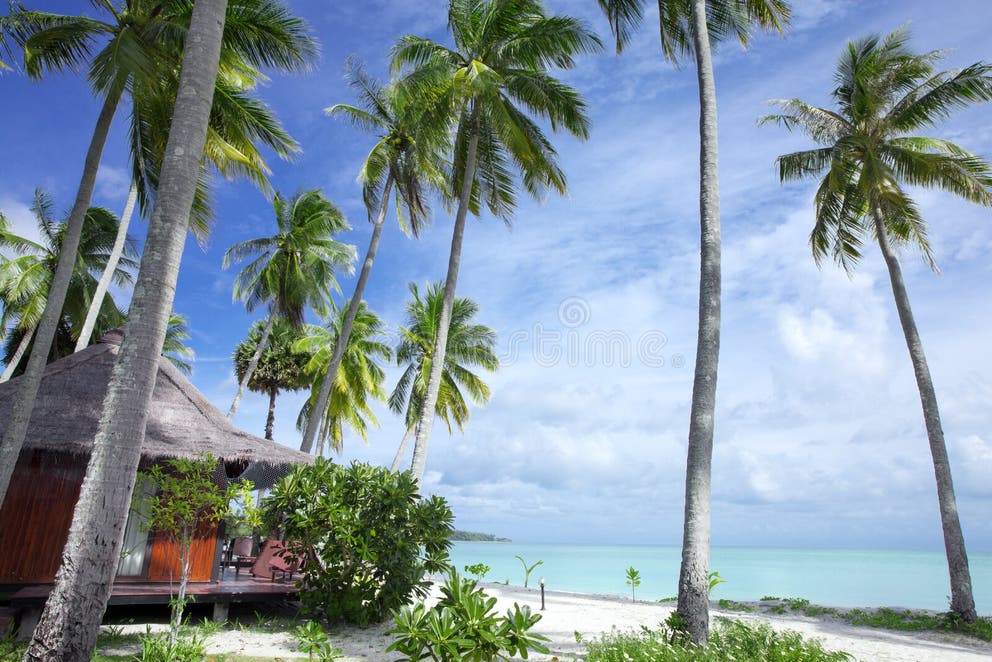 Tropic view stock photo. Image of thailand, travel, paradise - 92762310