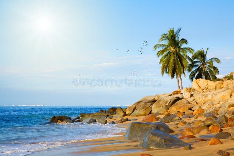Tropical stock image. Image of blue, bright, destination - 13311623