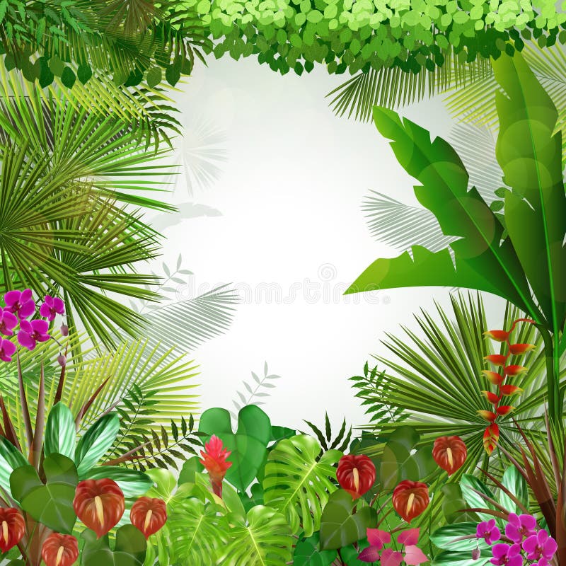 Tropical Background Beautiful Stock Vector - Illustration of exotic ...