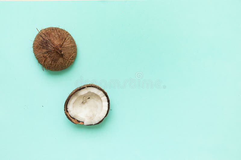 Tropical Background with Coconut on a Blue Background. Stock Image ...