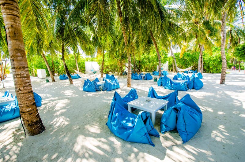 Tropical bar setup stock photo. Image of palm, pillows - 62635146