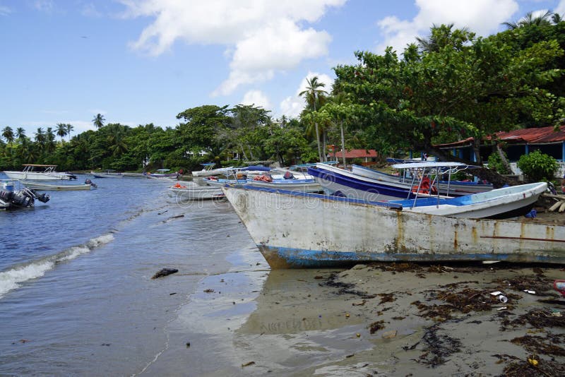 Tropical Bay on Samana Peninsula Stock Image - Image of hispaniola ...