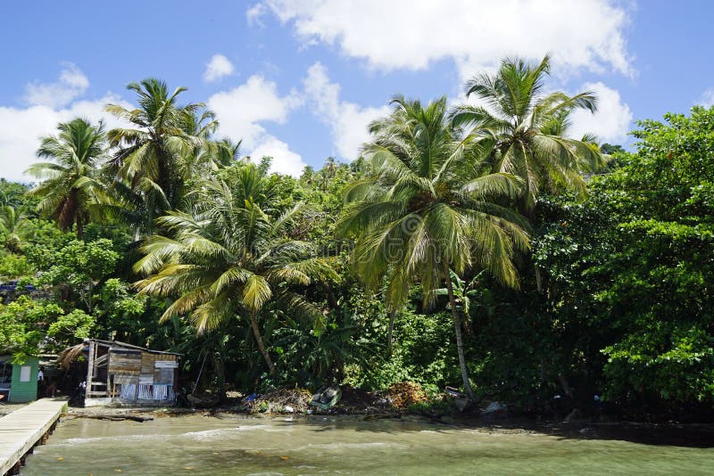 Tropical Bay on Samana Peninsula Stock Photo - Image of dominican ...