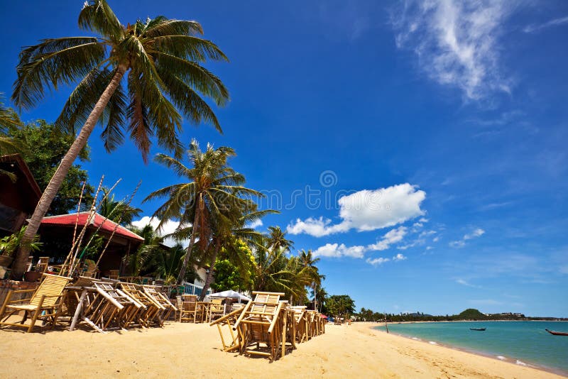 On the tropical beach stock photo. Image of recreation - 15431218