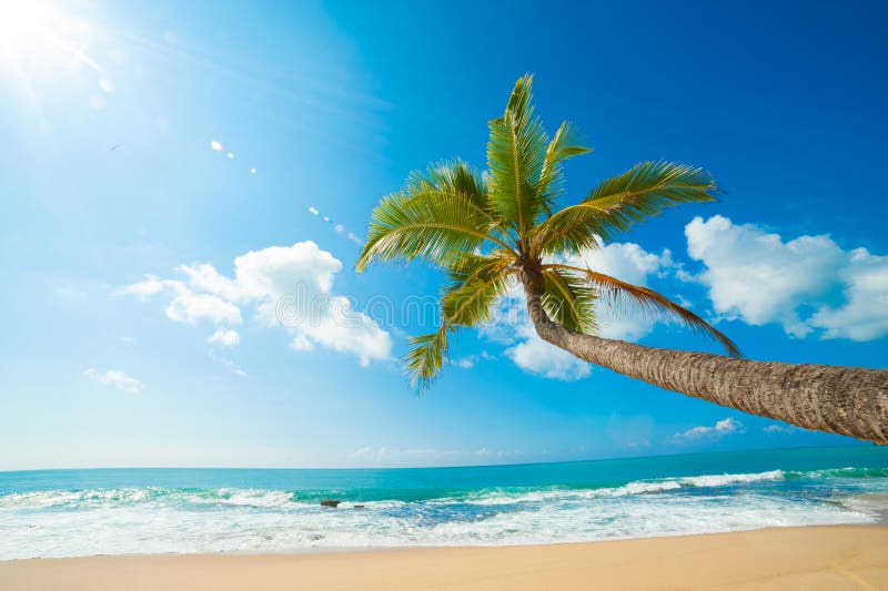 Aloha Written in Sand on Beach with Wave Stock Image - Image of oahu ...