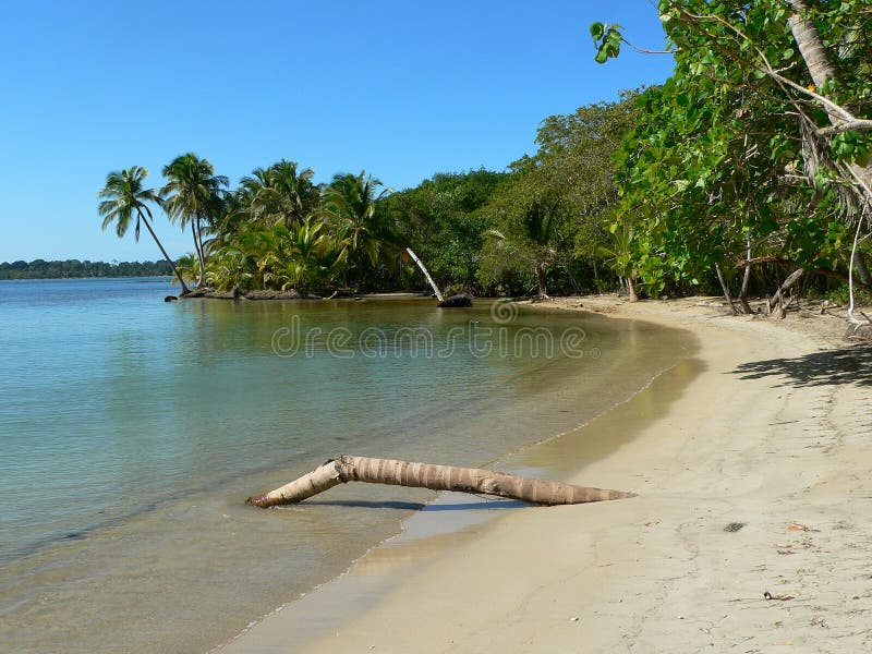 Caribbean Tropical White Sand Beach Stock Photo - Image of clear, sand ...