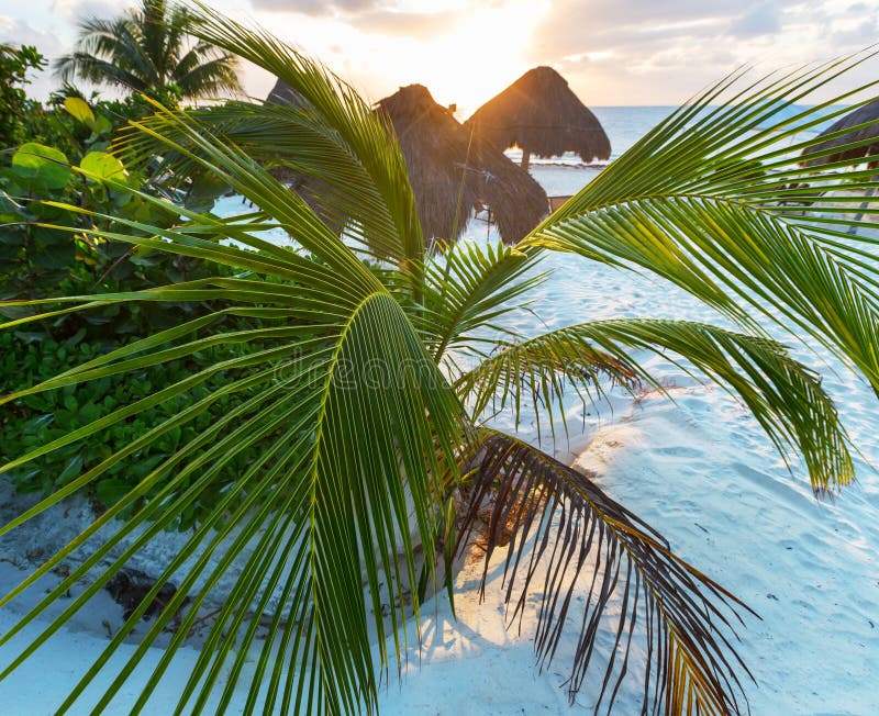 Tropical beach stock image. Image of tropical, holiday - 54211929