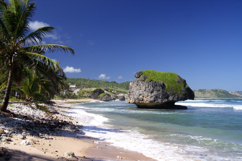 Barbados Beach stock photo. Image of palms, beach, cruise - 95428