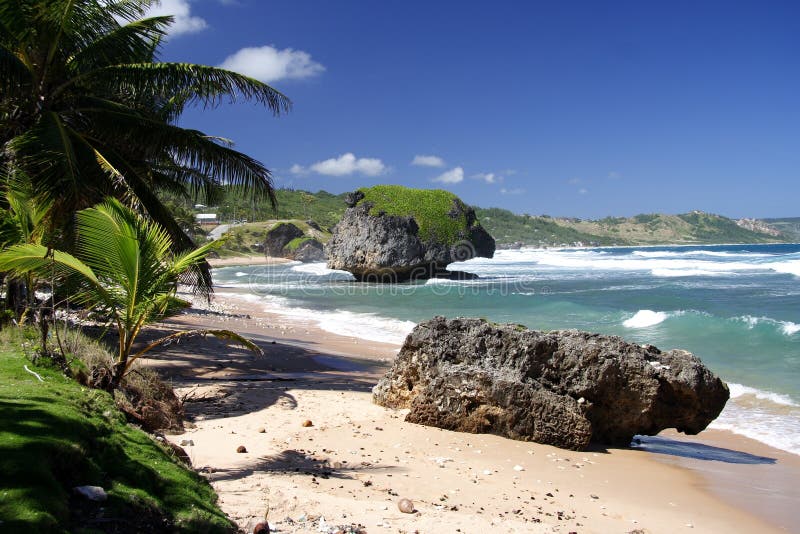 Barbados Beach stock photo. Image of palms, beach, cruise - 95428