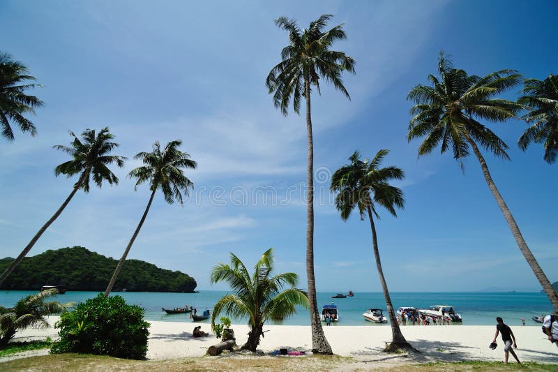 Tropical Beach in Ang-Thong National Park Stock Photo - Image of sand ...