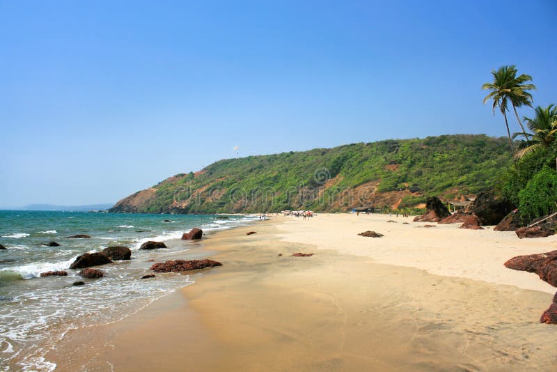 Tropical Beach in Arambola,Goa, India Stock Image - Image of holiday ...