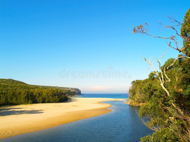 Tropical Beach in Australia Stock Image - Image of outdoor, panoramic ...