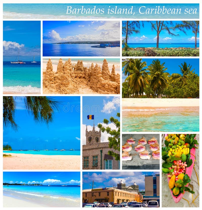 The Tropical Beach, Barbados, Caribbean Stock Image - Image of barbados ...