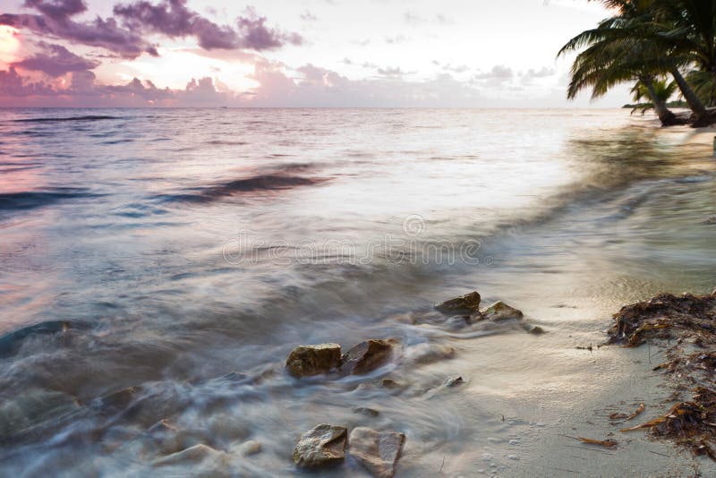 Tropical Beach stock image. Image of coast, america, central - 36122693