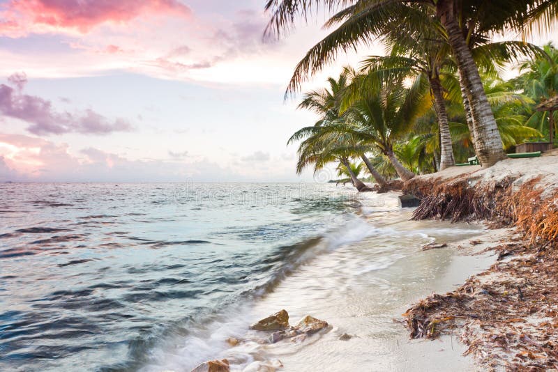 Tropical Beach stock image. Image of beautiful, ocean - 36146873