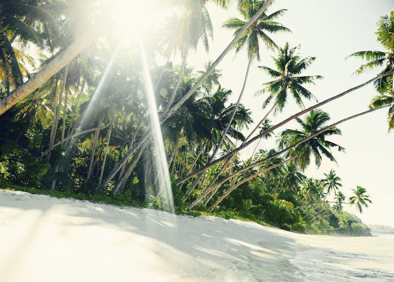 Tropical Beach Beauty in Nature Concept Stock Image - Image of climate ...