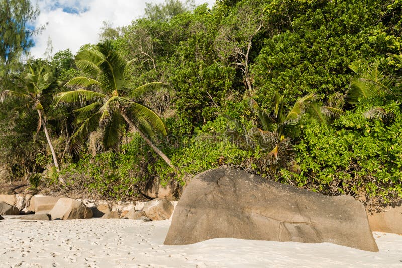 1,975 Big Stone Beach Wallpaper Stock Photos - Free & Royalty-Free ...